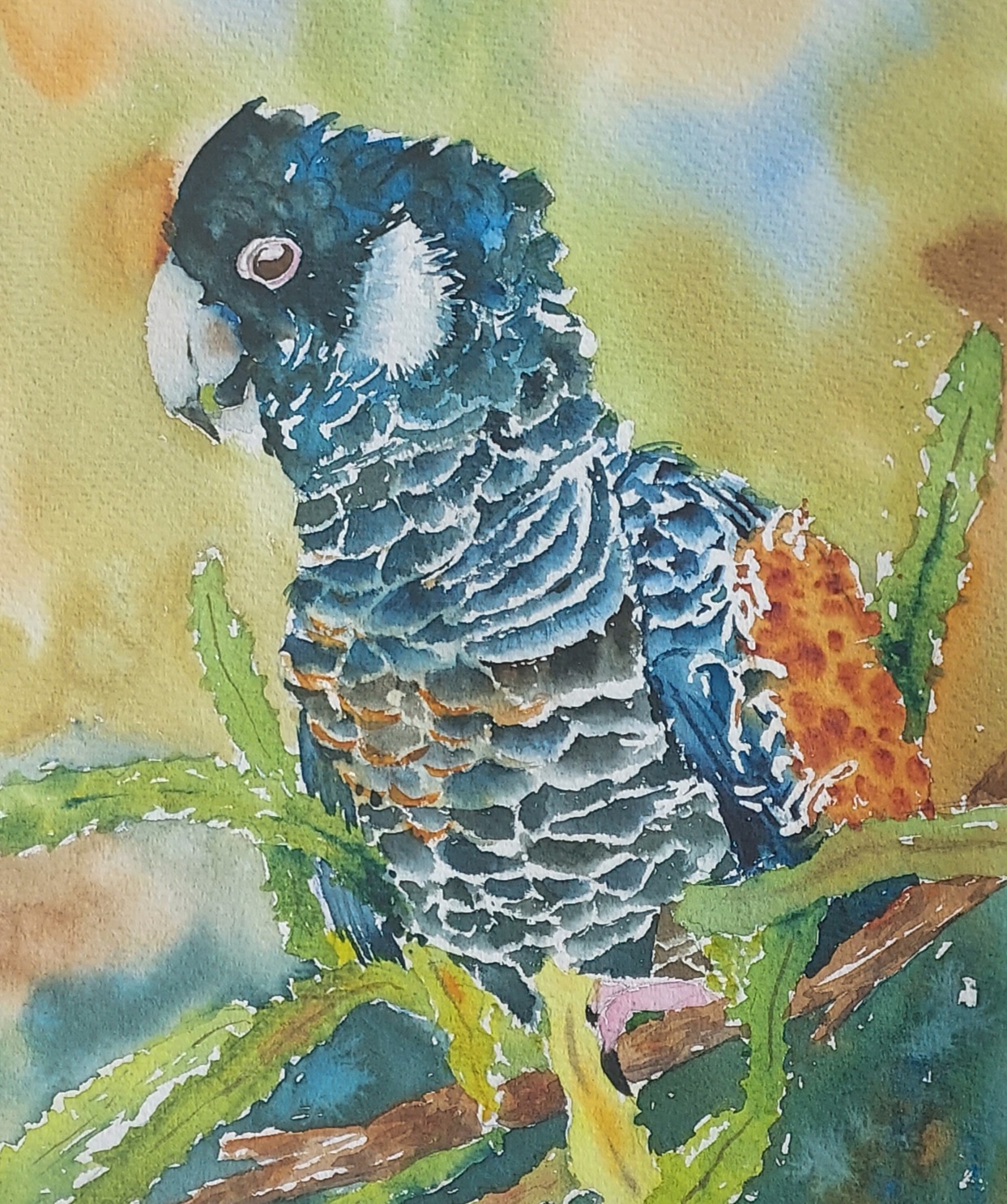 Where time moves slowley Black Cockatoo 2023 - WatercoloursWA